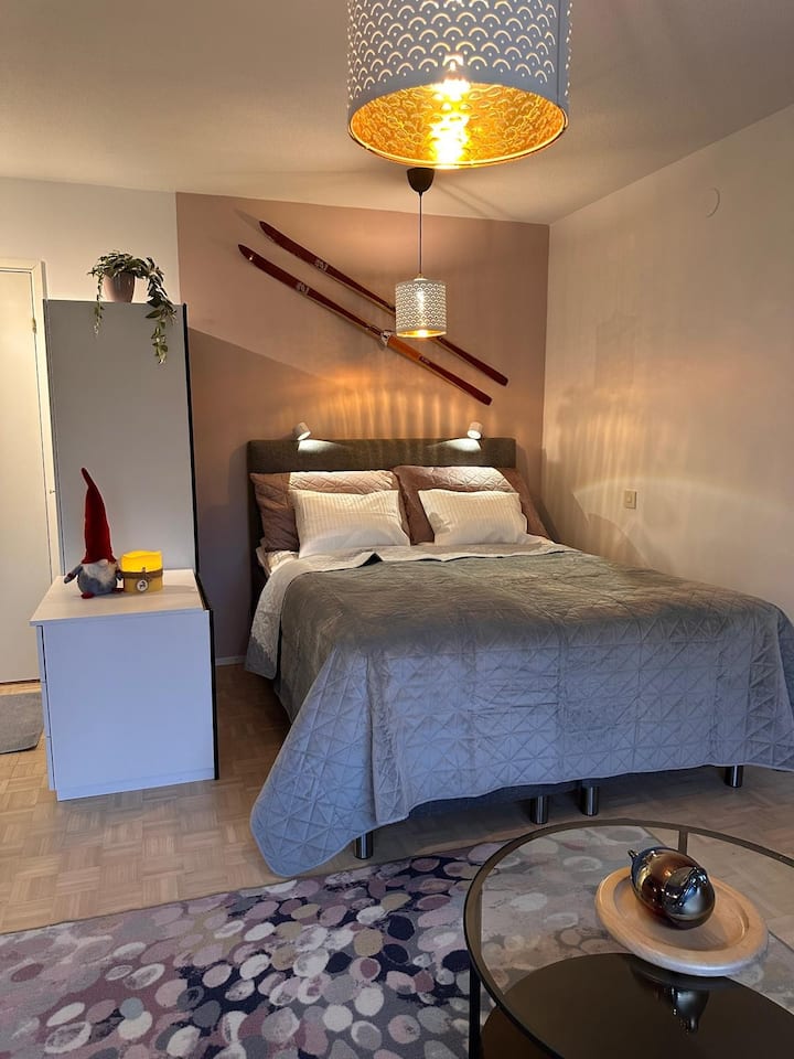 Cozy Winter City Centre Studio - Rovaniemi