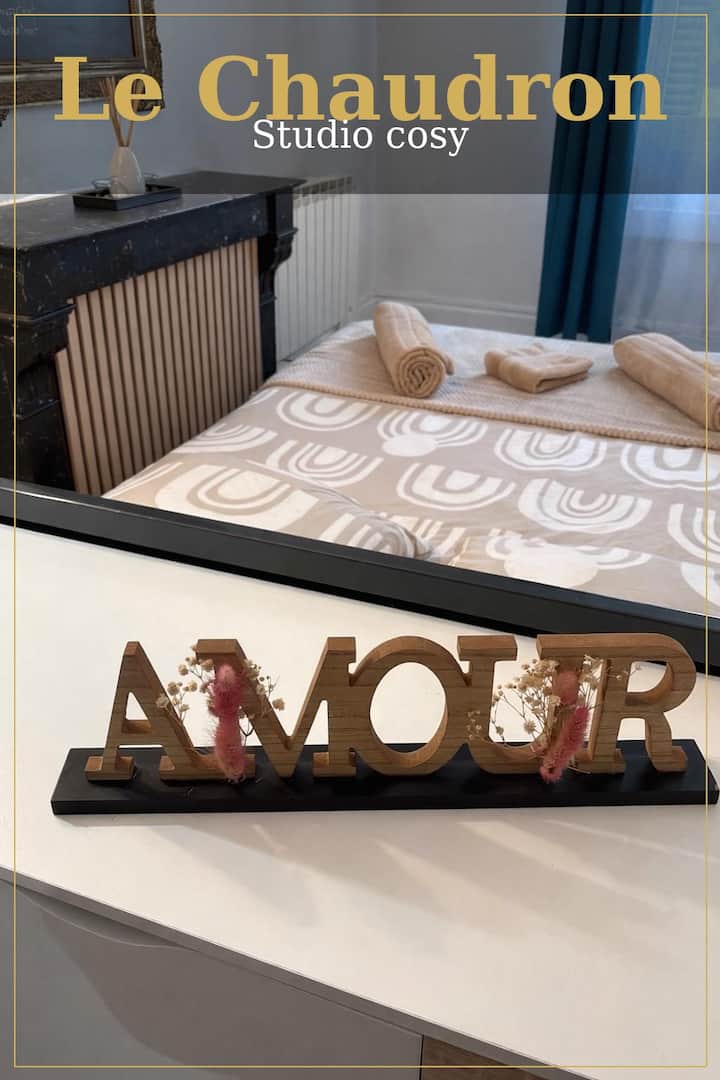 Le Chaudron - Studio Cosy Centre Dijon - Dijon