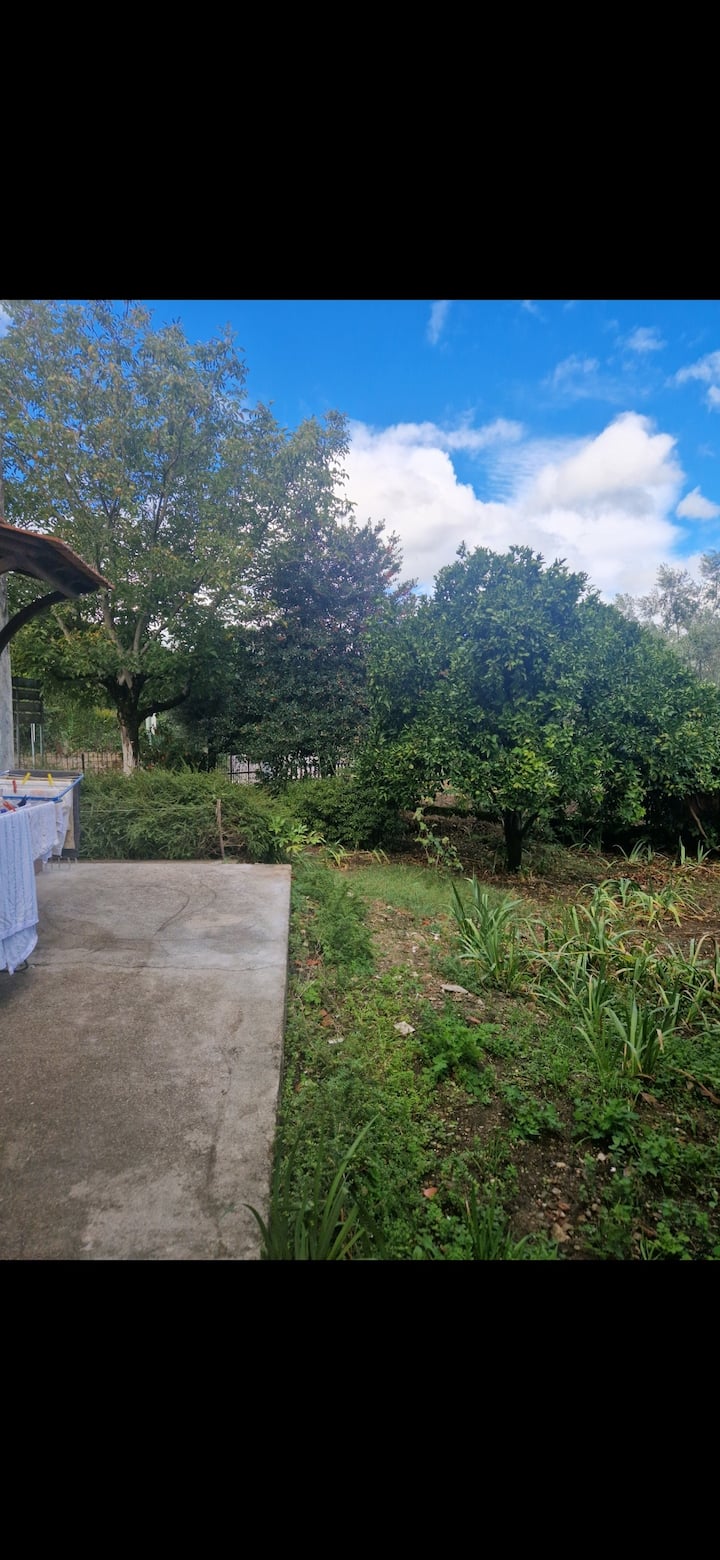 Casa Da  Padaria Velha - Tondela