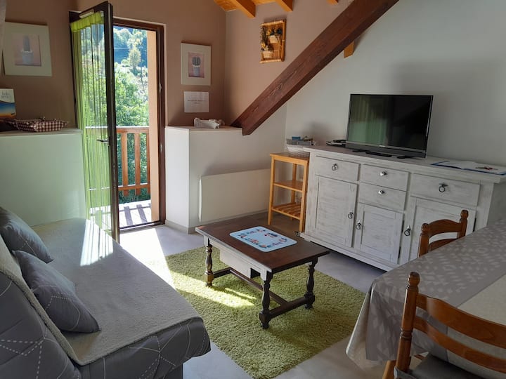 La Neige Et Là, Appt à 10 Min Des Pistes De Skis - La Bresse