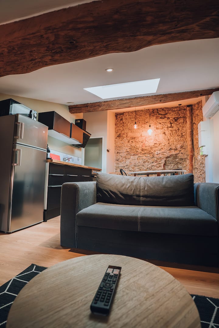 La Villa Des Cordeliers 3 - Mont-de-Marsan