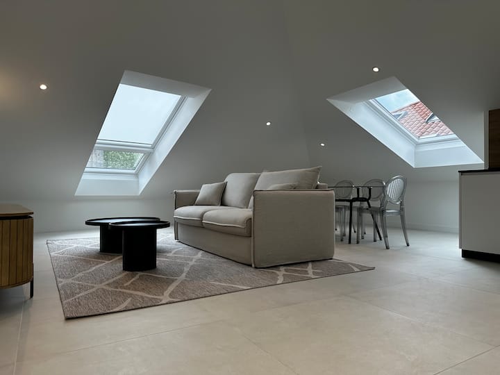 Apartamento Lujo Casco Histórico - Ames