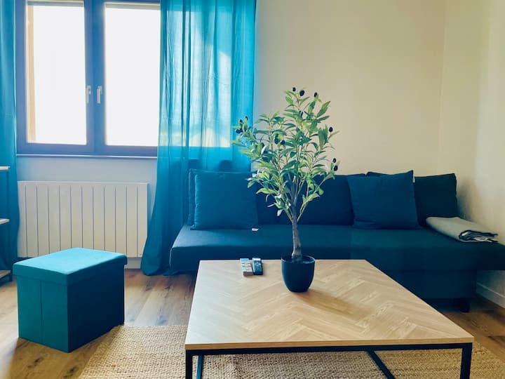 T2 Confortable Et Central, Wifi, Parking Gratuit - Saint-Avold