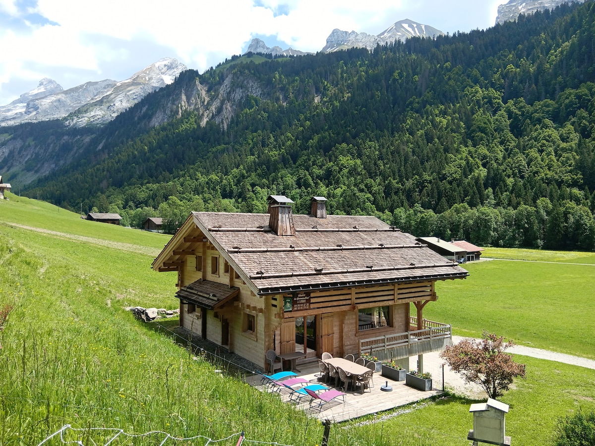 individual chalet facing the mountains - Chalets for Rent in Le Grand ...