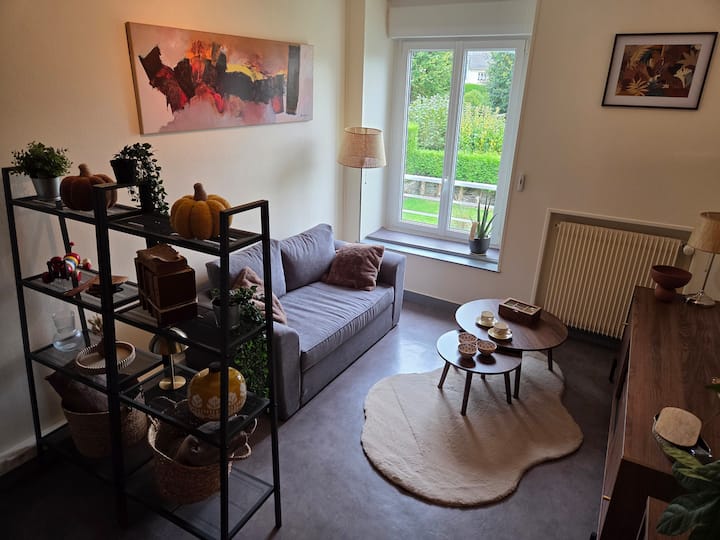 Appartement Cosy Avec Jardin - Vire