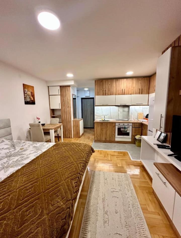 Vidolux Studio - Free Garage And Free Wifi - Niš