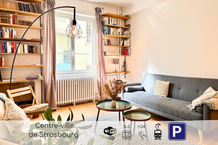 Voyage Strasbourgeois - Centre Ville - Strasbourg