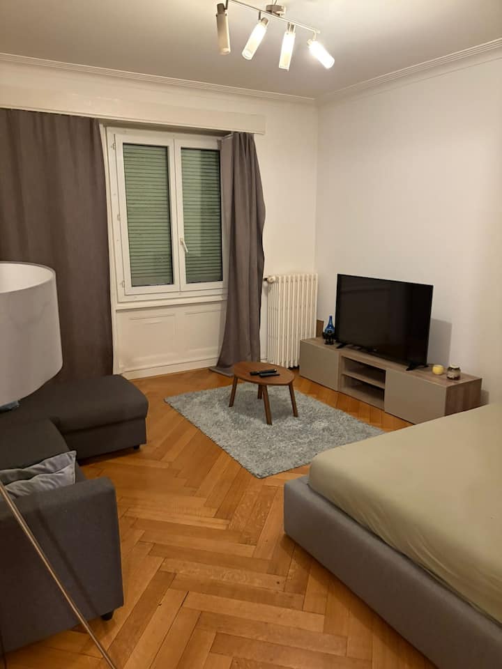 Confortable, Studio Au Centre De Ville - Cenevre, İsviçre