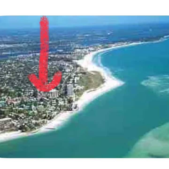 A Wave From It All - Sarasota