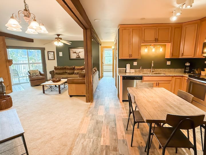 New Listing! - 2br/2ba Beautiful Mountain Condo - Silverthorne, CO