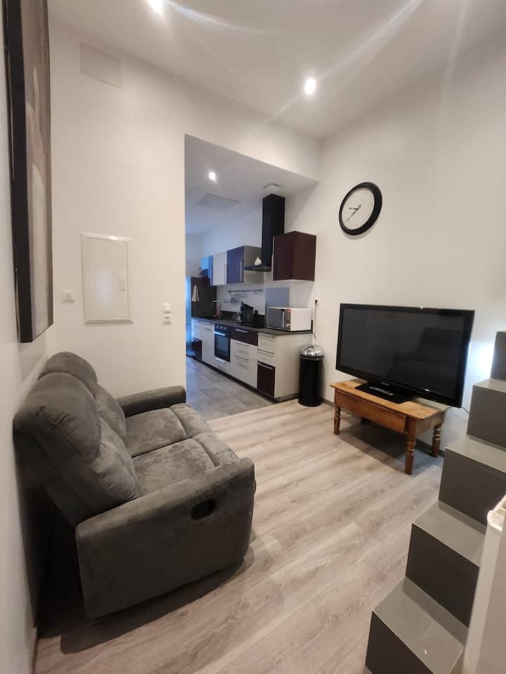 Joli Appartement T2 Avec Grand Extérieur Aubenas - Aubenas