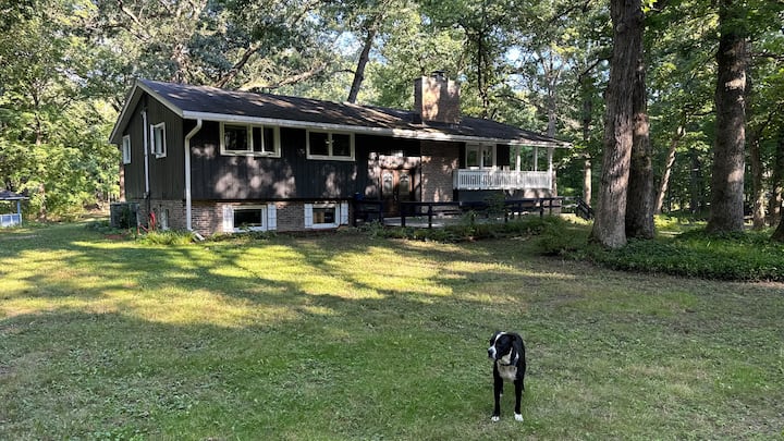 Kiwi's Nest - Lynwood, IL