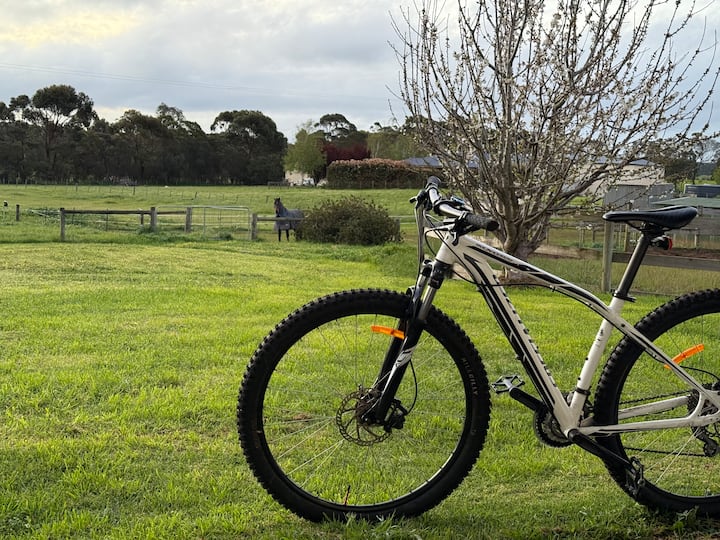 Farm Stay In Compton - Countryside Bliss - Blue Lake, Mount Gambier