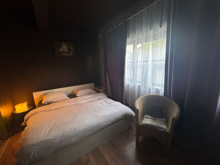 Cozy Apt + Free Parking 20 Min Walk To Center - Asse