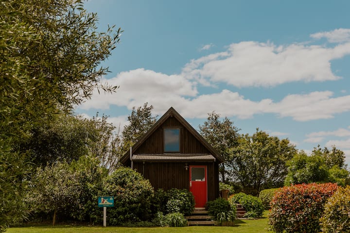 The Kinky Art Studio - Te Aroha