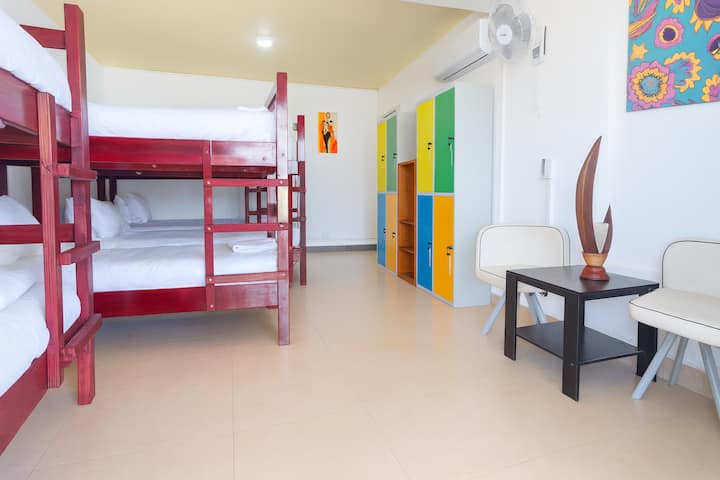 Vila Backpackers Mixed Dorm Room 8 Beds - Port Vila