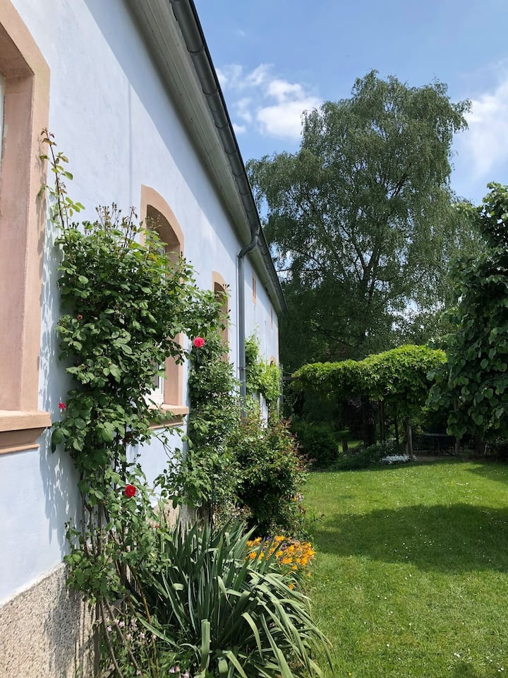 Ferienwohnung Maurer - Tholey