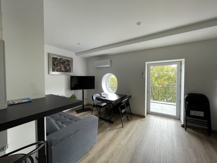 Appartement Avec Terrasse Vue Sur Le Rhône, 6 Pers - Écully