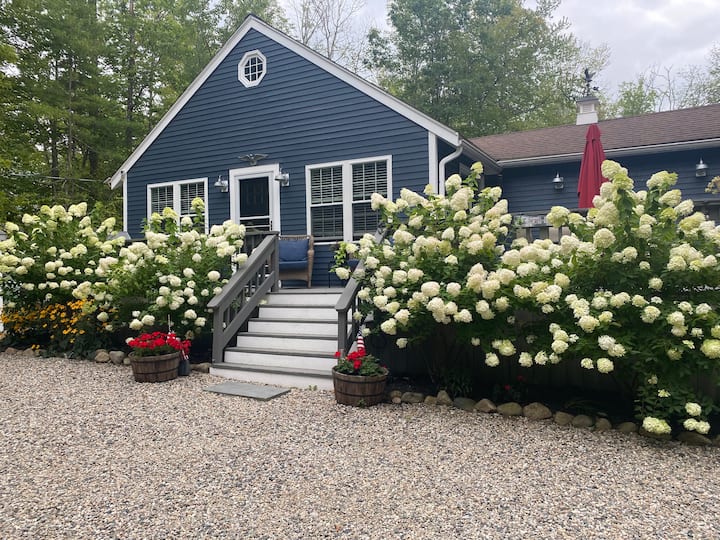 Family & Dog-friendly Lake Retreat - Ossipee, NH