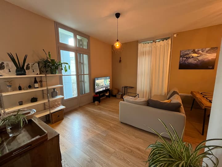 Appartement Lumineux, Spacieux à 2 Pas Des Halles - Sète