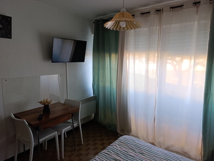 Studio Parfait Pour Curistes Proche Des Thermes. - Balaruc-les-Bains