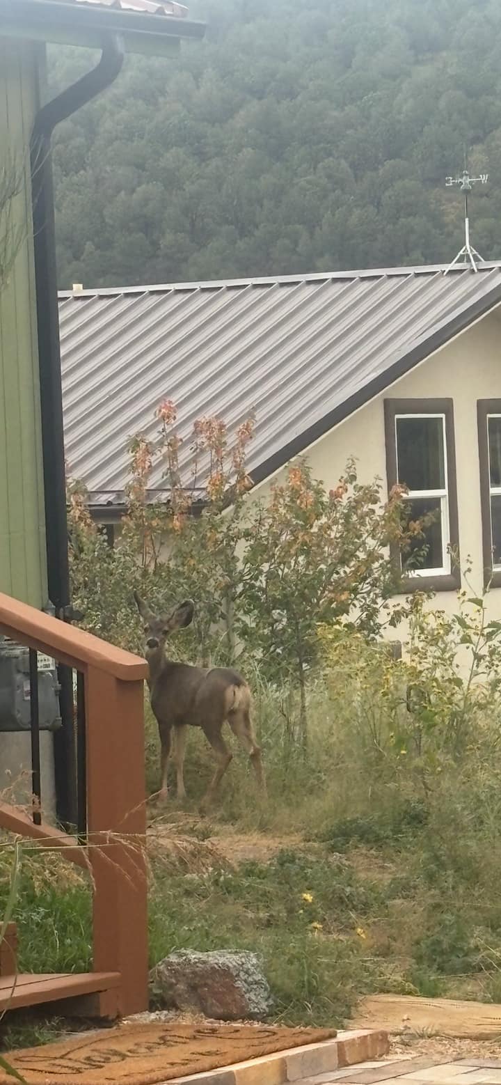 Modern Chalet @ Foothill Of Rainmaker’s Golfcourse - Ruidoso, NM