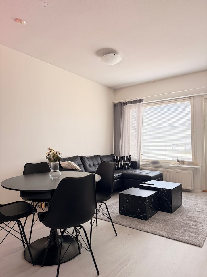 Saunallinen Kattohuoneisto Rovaniemen Keskustassa - Rovaniemi