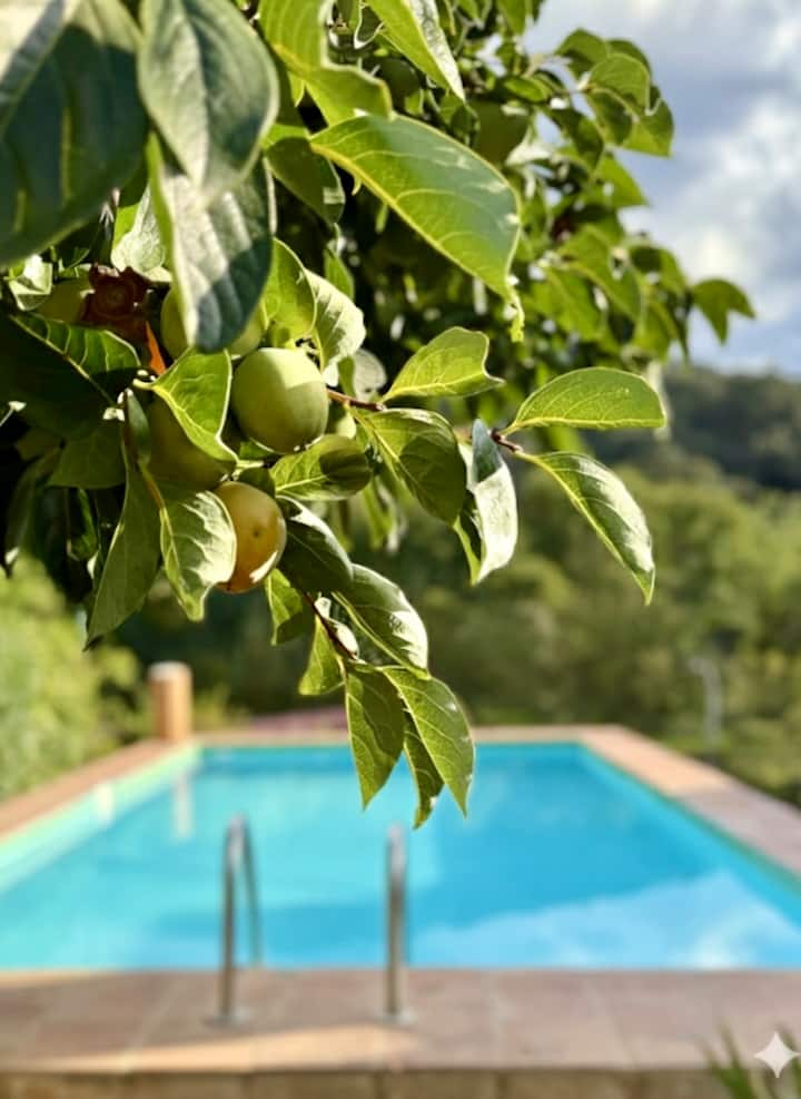 Casa Rural Orilla Del Hueznar - Cazalla de la Sierra