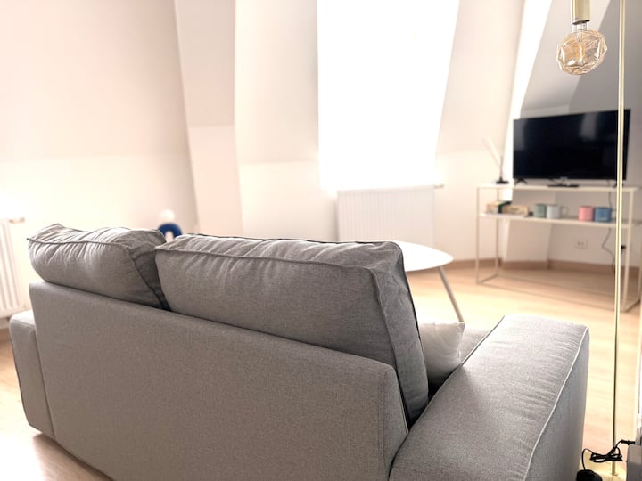 Cosy Sous Les Toits Appartement Au Centre Ville - Mulhouse