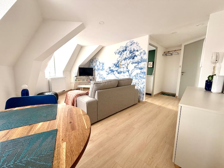 Cosy Sous Les Toits Appartement Au Centre Ville - Mulhouse