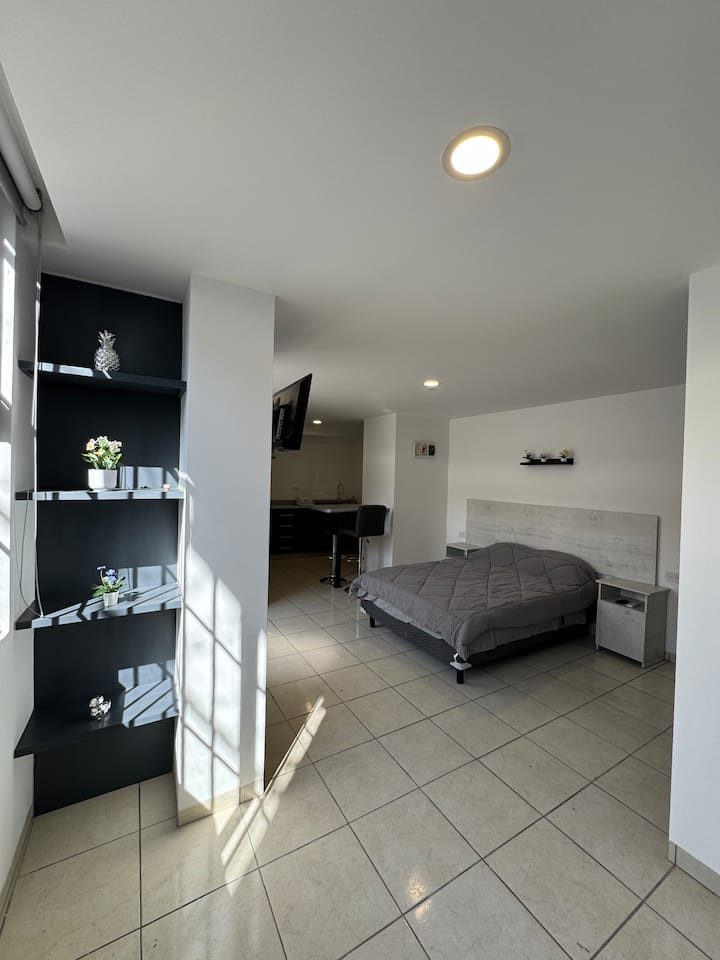 Departamento Centro De La Ciudad - Aguascalientes