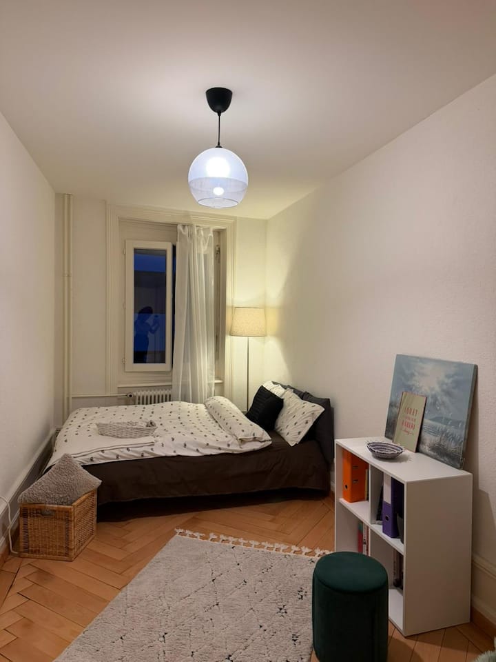 Room In Zurich - Zurich