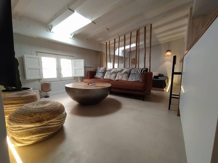Loft Safari | Fast Wi-fi | Old Town | Pet Friendly - Valencia