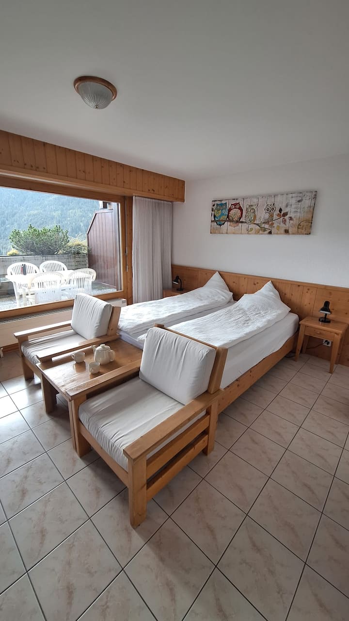 Les Bains D'ovronnaz - Studio Plein Sud Terrasse - Ovronnaz