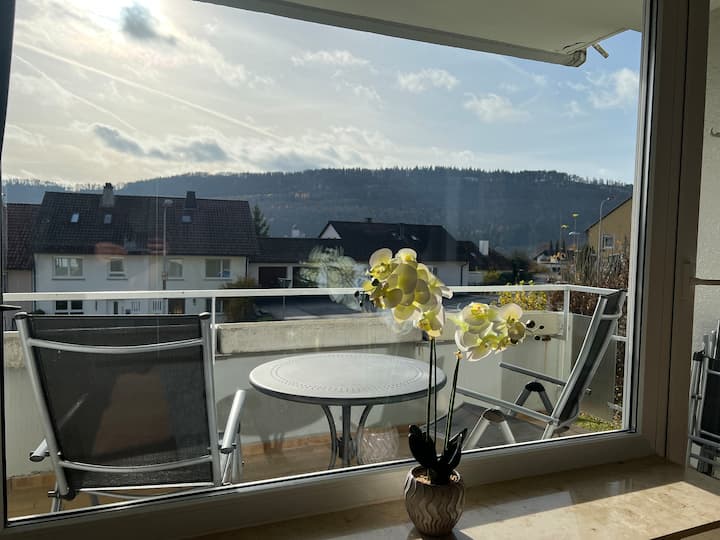 Ruhige Wohnung - Albstadt