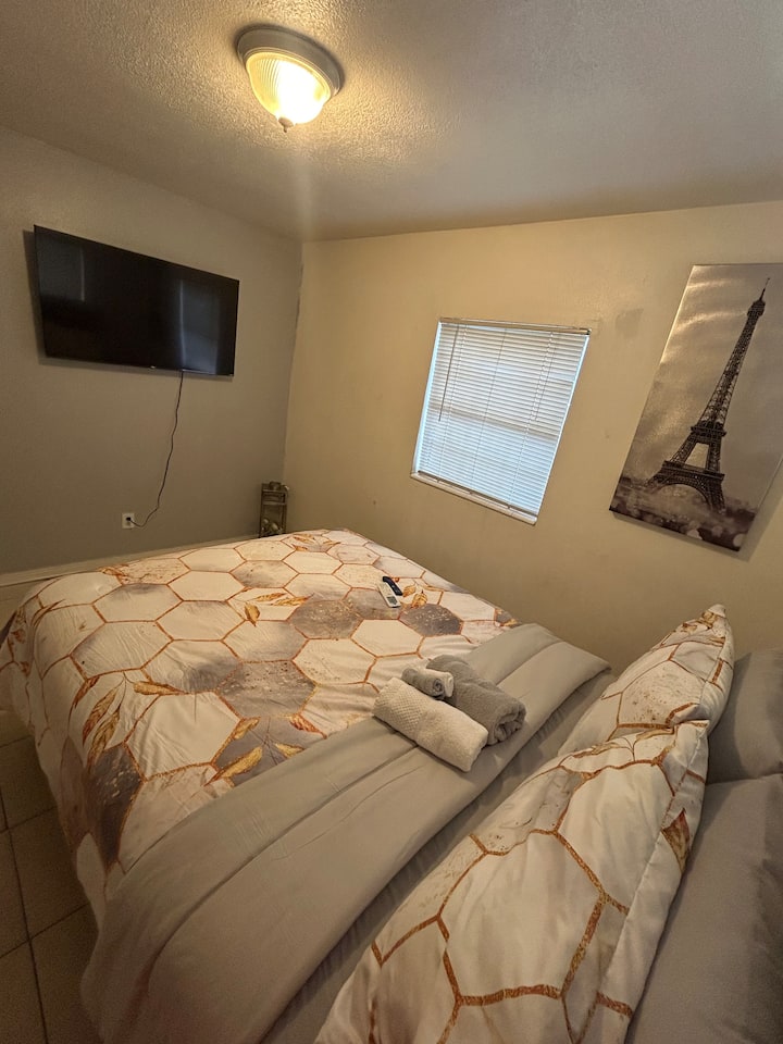 The Wild Side – Under Renovation, Open For Stays - Tampa, FL