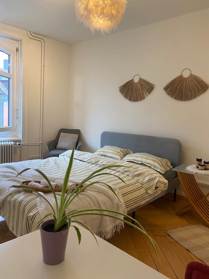 Cozy Room In Center - Zurich