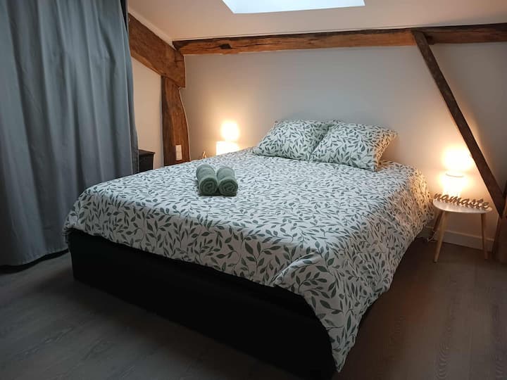 Appartement Duplex - Meurthe-et-Moselle