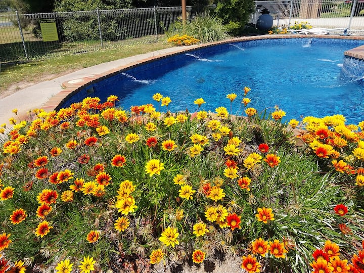 Quite Motel Close To Town - Corowa