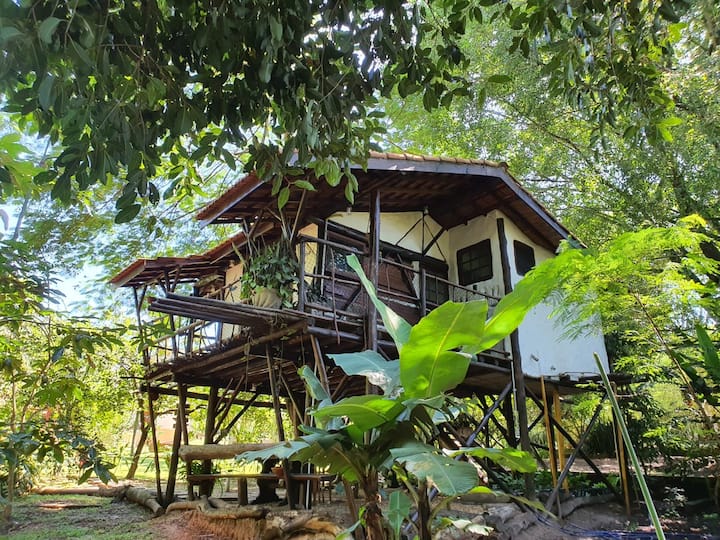 Chalé Flamboyant – Casa Na ÁRvore Em São Pedro - Águas de São Pedro