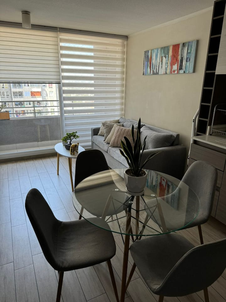 Lindo Y Cómodo Departamento Santiago Centro - Ñuñoa