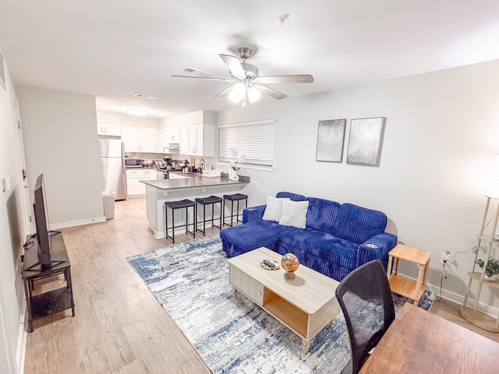 Stylish 1br/1ba Apt Near At&t & Six Flags - Grand Prairie, TX