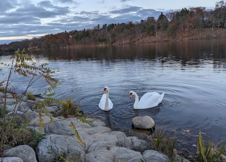 *Game Day Ready* *Walk To Big House* *Mins To Um* - Ann Arbor, MI