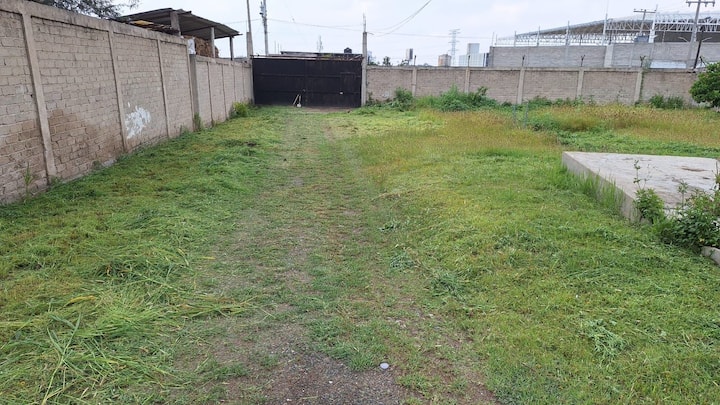 Un Edén En La Ciudad 1500 M Jardín Grupos Grandes. - León