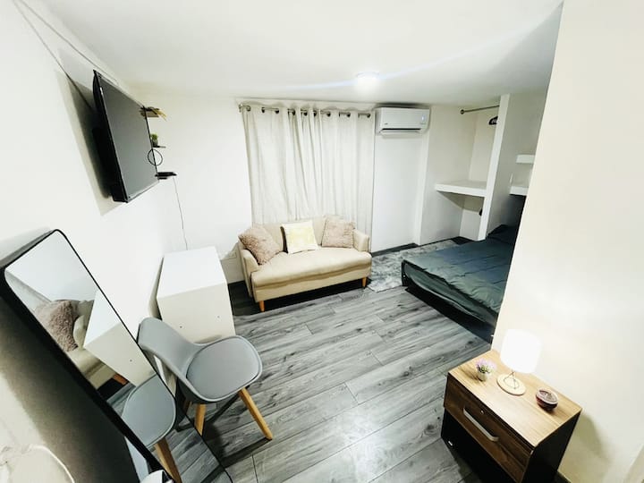 Departamento Cerca Del Tec/fundidora/centro- Brown - Mexico