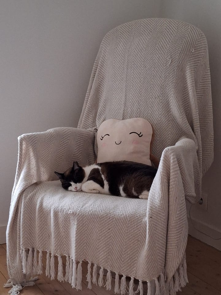 Jolie Chambre Au Calme Proche Coeur De Jonzac - Jonzac