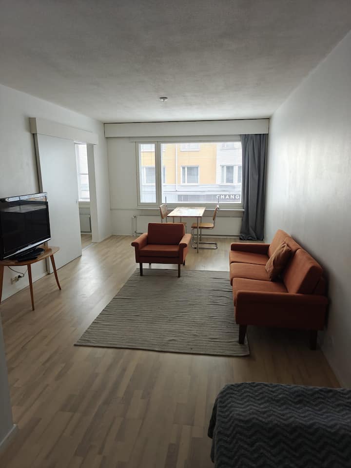 Tilava Yksiö Tampereen Sydämessä - Tampere
