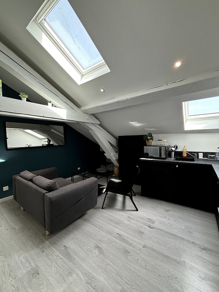 Appart Cosy Sous Les Combles Proche Gare Et Centre - Nancy