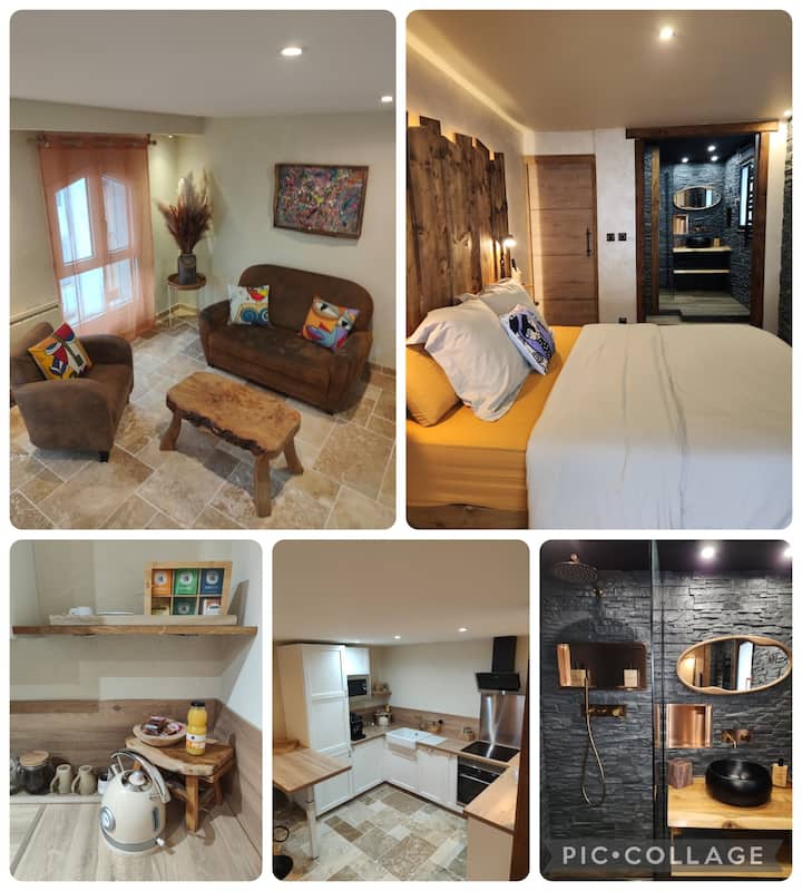 Appartement  Design Et Chaleureux En Centre-ville - Oyonnax