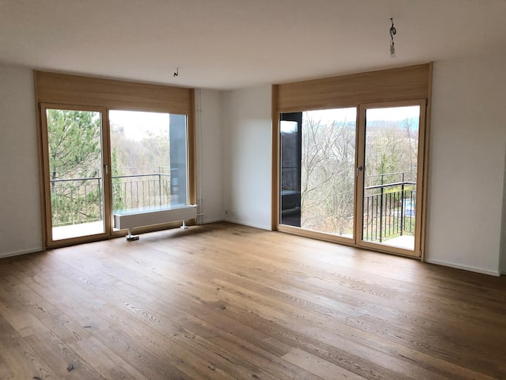Cozy Flat Near Bcf Arena - Fribourg